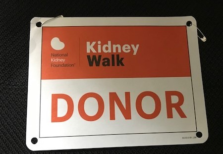 What Country Leads the World in Living Kidney Donation? – Could You Be ...